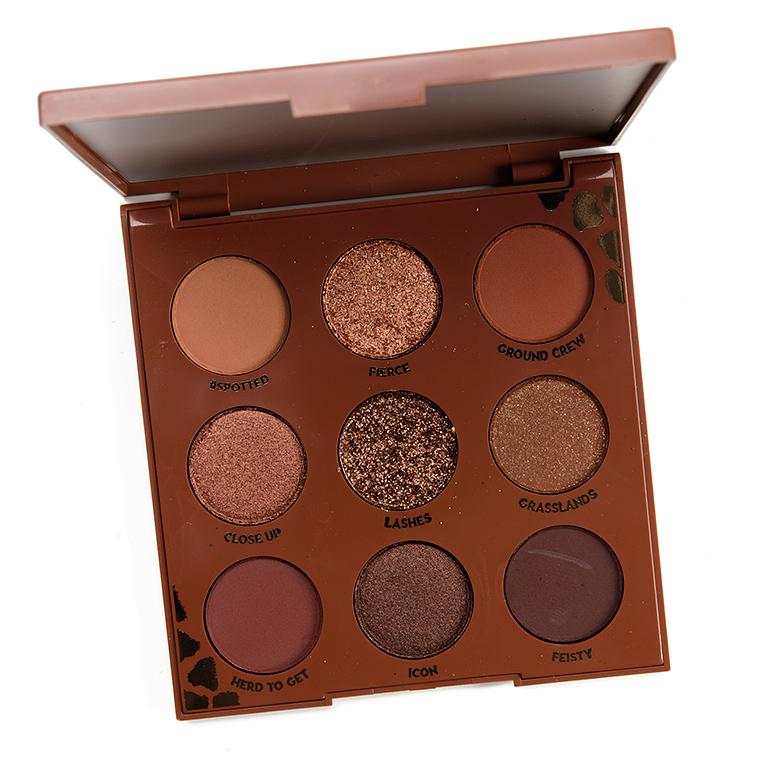 ColourPop Wild Child Shadow Palette Reviews & Ingredients