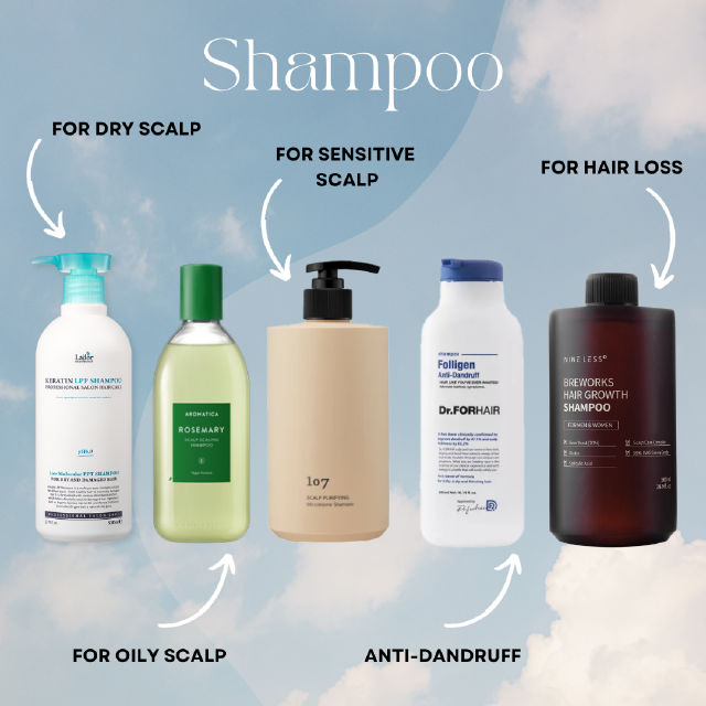 How to choose a shampoo? | Expert